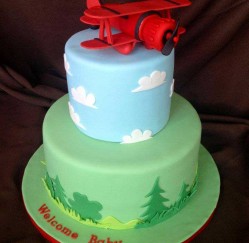 Airplane Cake | Sweet Discoveries